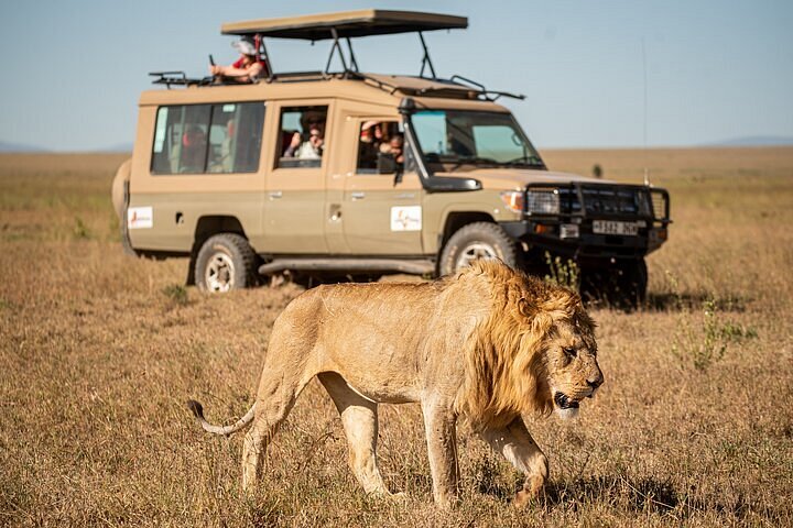 All-Inclusive Tanzania Safari Packages For Luxury & Budget Travelers ...