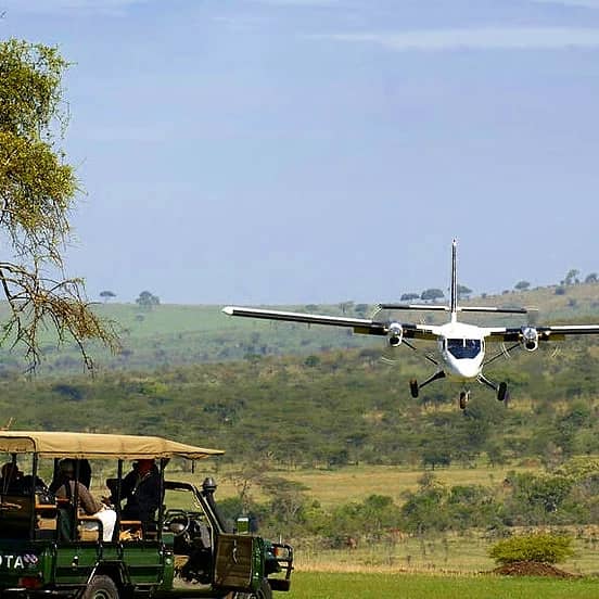Fly-In Safari Tanzania: Luxury & Convenience In The Wild - Sia Yangu Safari